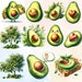 Cute Avocado Clipart | Watercolor Illustrations | Nursery Decoration ...
