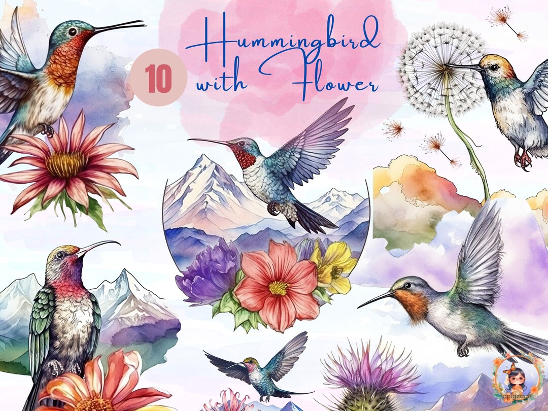 Hummingbird Watercolor Clipart ,charming Bird , PNG Format Instant ...
