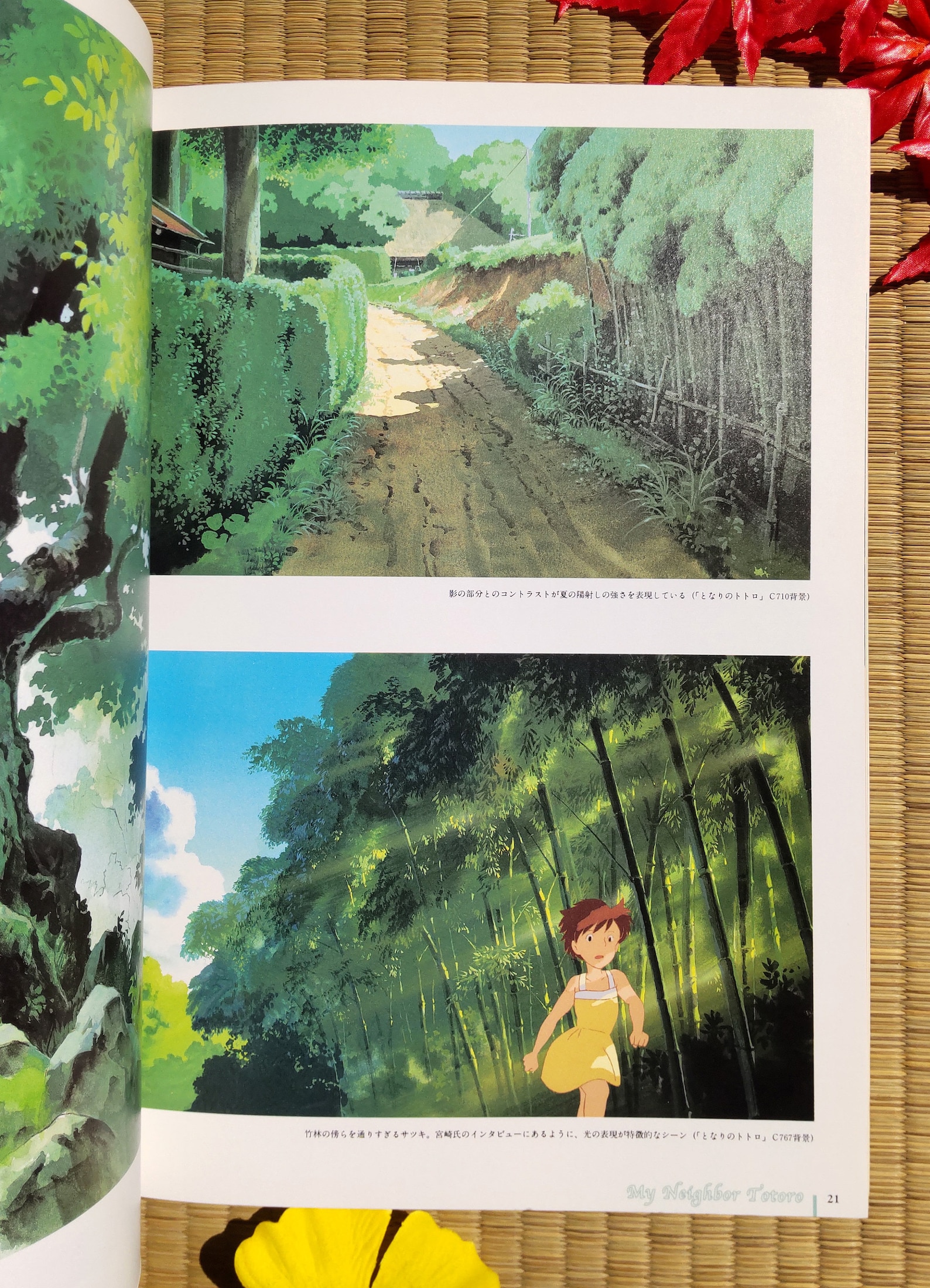Vintage Ghibli Studio Oga Kazuo Art Collection Vol.1 Famous - Etsy