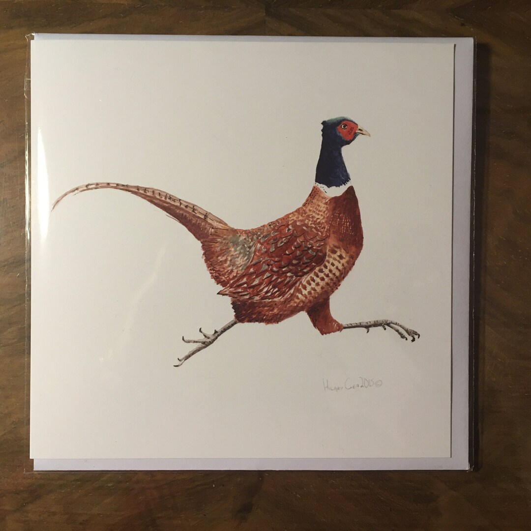 Running Pheasant Square Greetings Card Blank Inside - Etsy