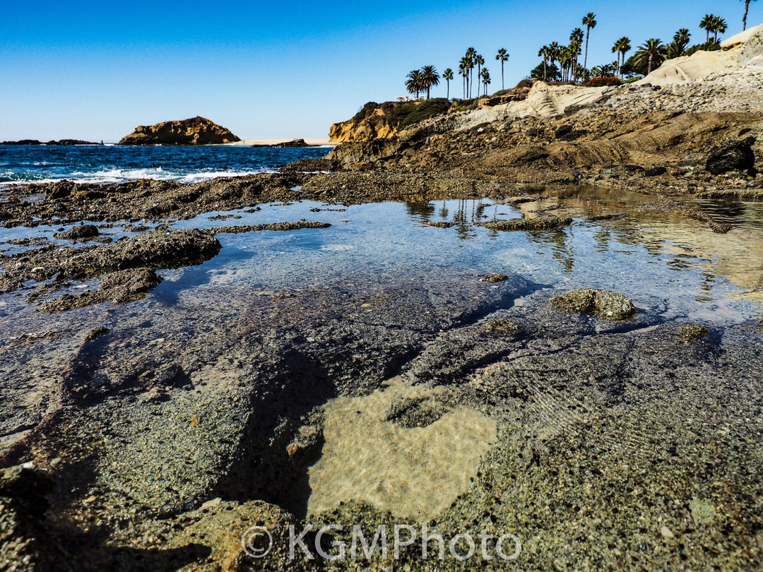 Tidepool, Laguna Beach, Treasure Island Beach, Orange County, Southern ...