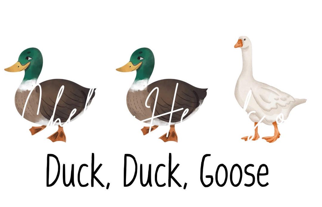 Duck Duck Goose Download Clipart PNG Sublimation Transfer - Etsy