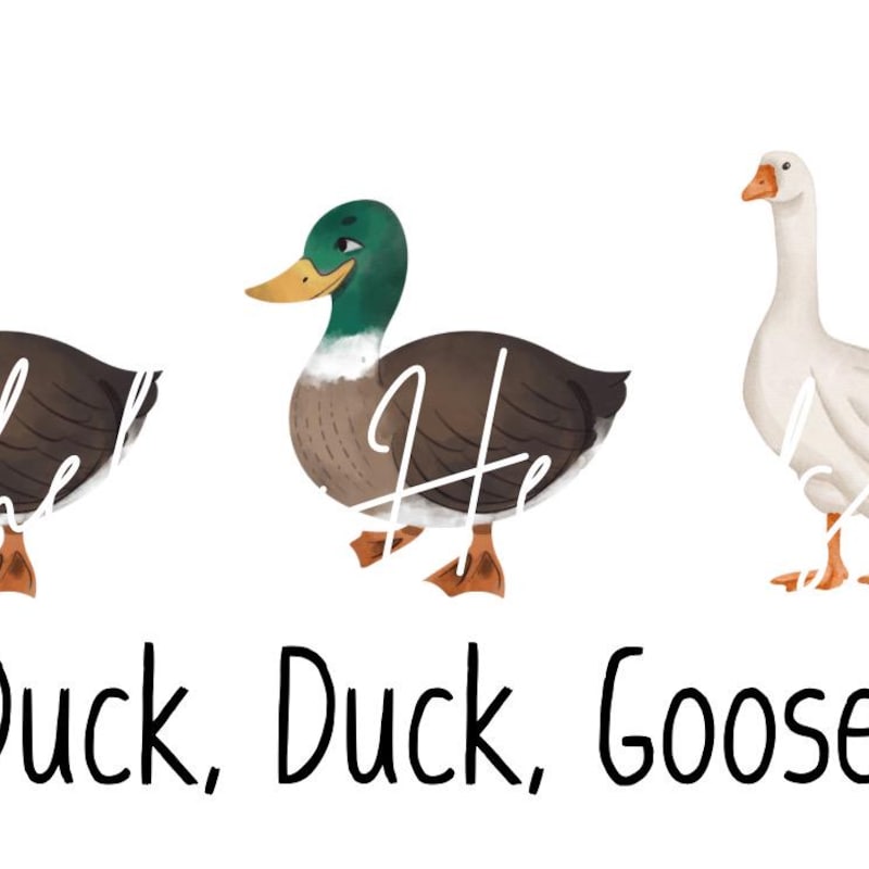 Duck Duck Goose - Etsy