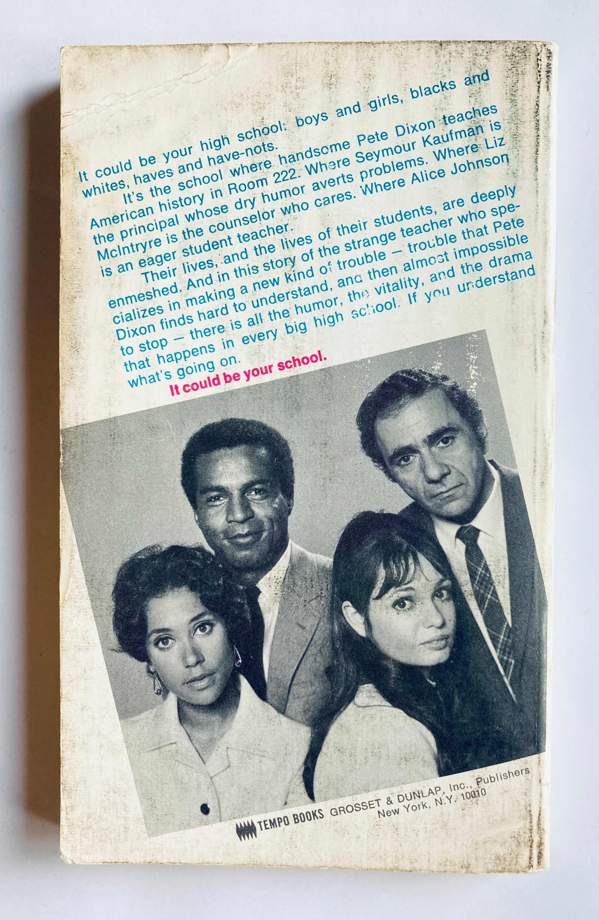 What Ever Happened to Mavis Rooster Room 222 William Johnston - Etsy