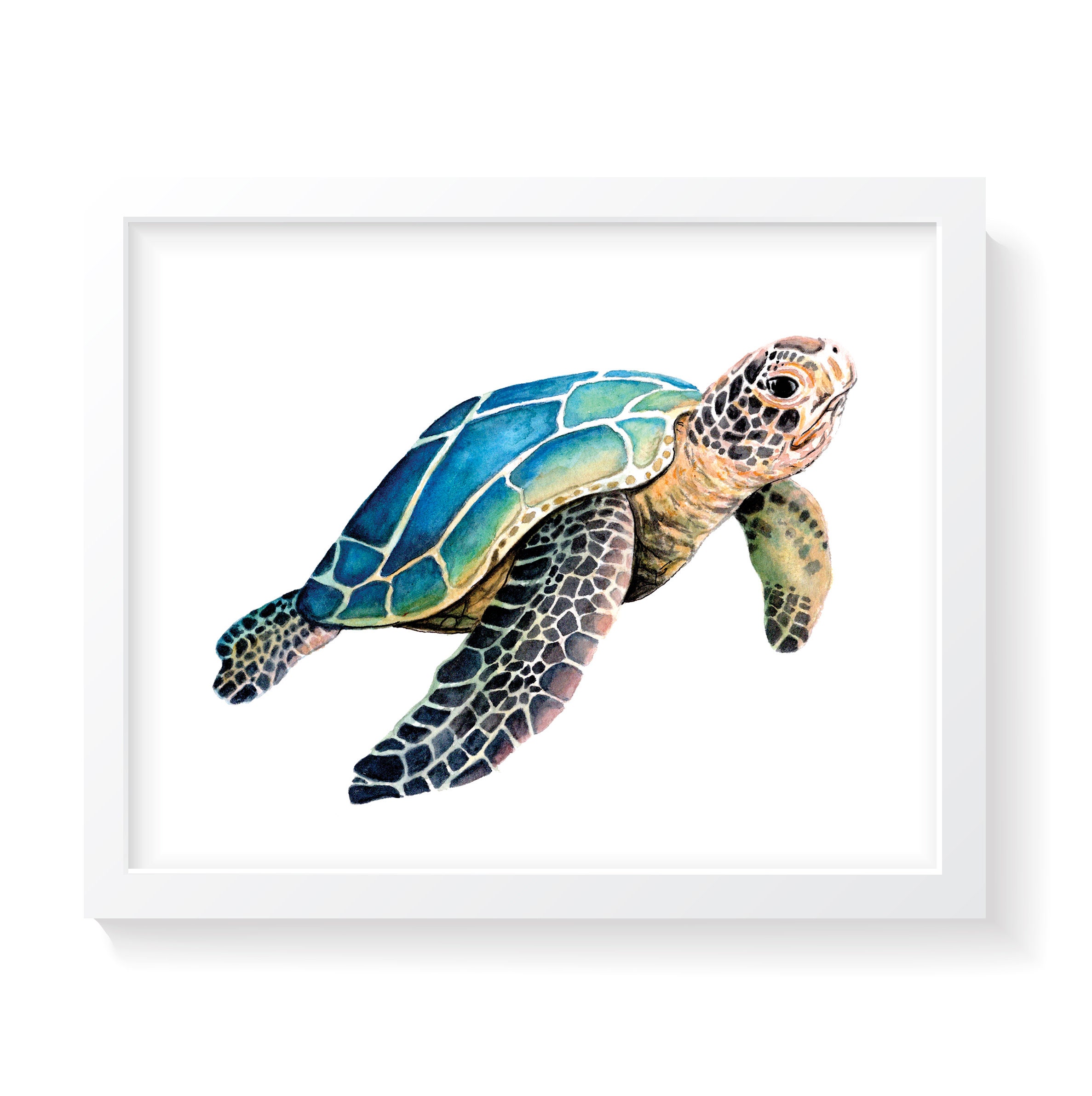 PRINTABLE Sea Turtle INSTANT Downloadsea Turtle Artsea - Etsy Australia