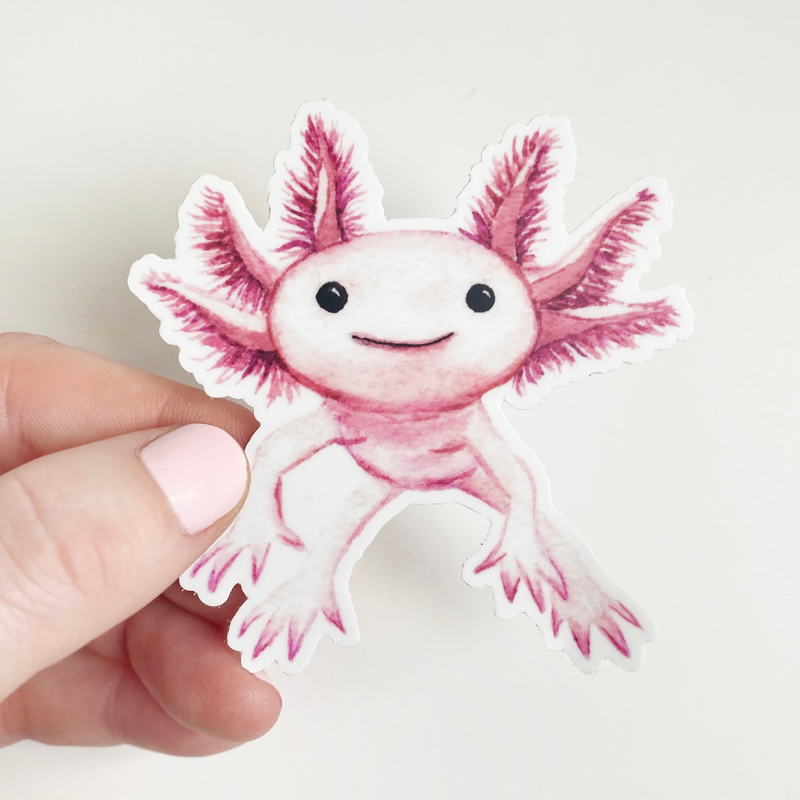 Axolotl Sticker axolotl lover axolotl gift cute sticker | Etsy
