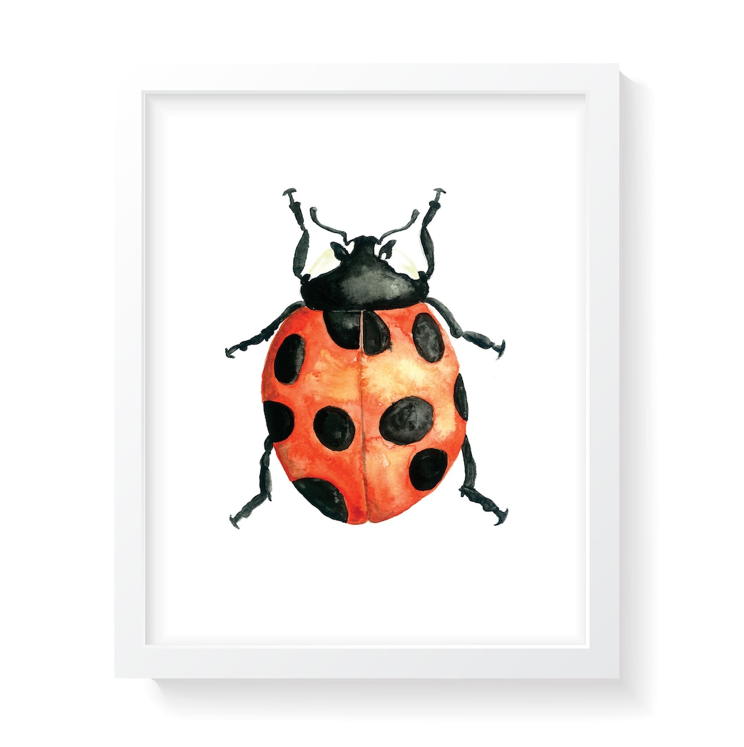 PRINTABLE Ladybug |DIGITAL DOWNLOAD| Ladybug Art,ladybug Watercolor ...
