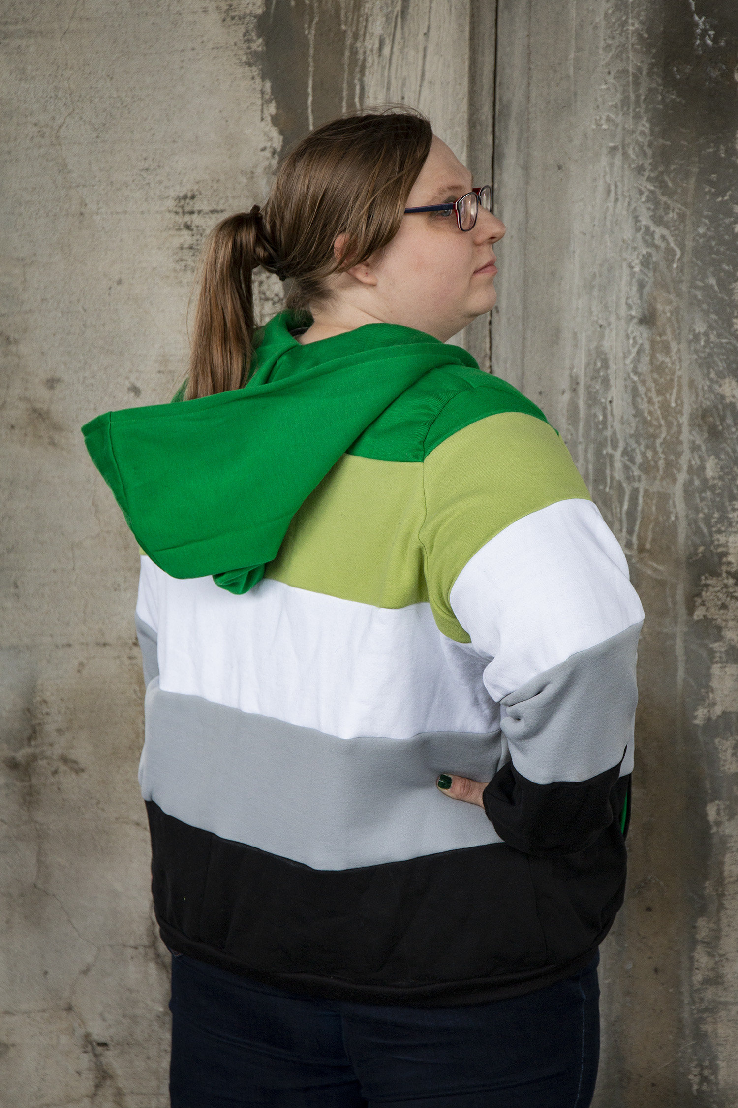 Aromantic Pride Flag Hoodie | Etsy