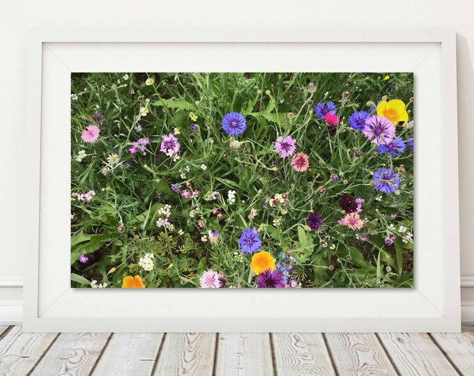 Wildflower Photo Print, Black and White Print Nature Photography ...