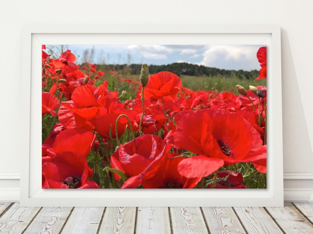 Poppy Field Print Poppy Flower Poster Countryside Print Red - Etsy