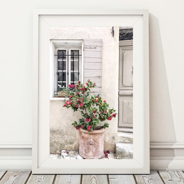 Window Photography - Etsy
