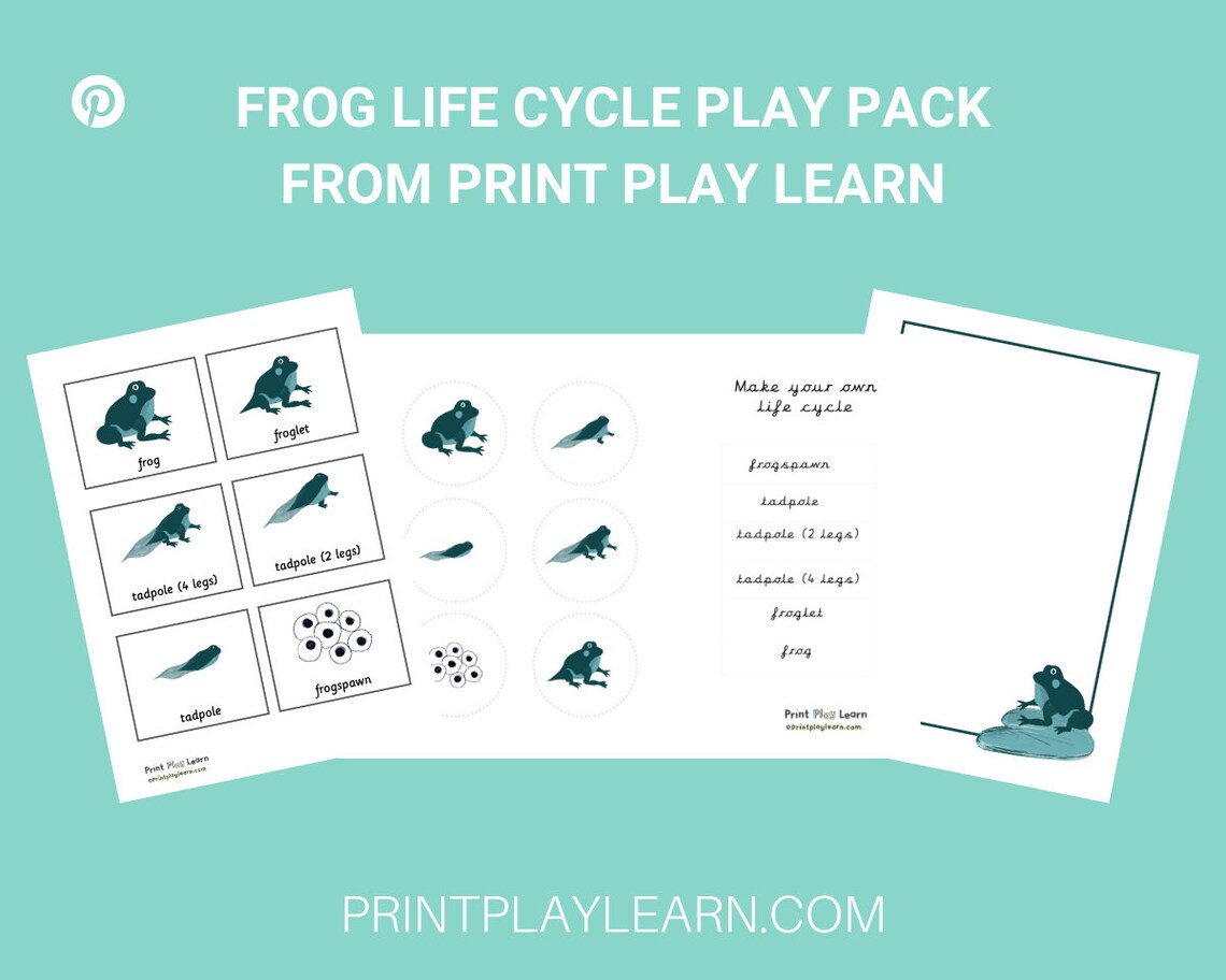Frog Life Cycle Flashcards for Children Home Education School - Etsy