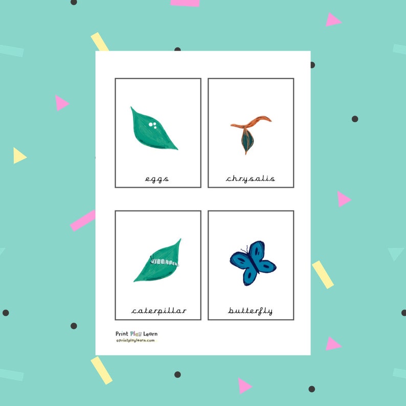 Life Cycle of a Butterfly + Flashcards Kids Home Education School ...