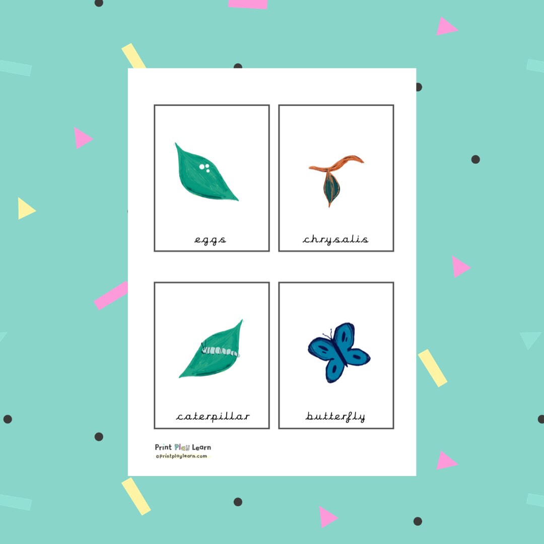 Life Cycle of a Butterfly + Flashcards Kids Home Education School ...
