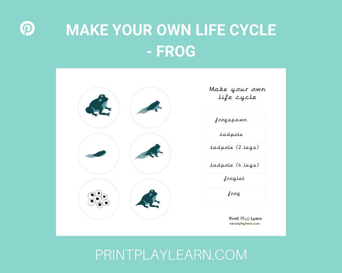 Frog Life Cycle Flashcards for Children Home Education School - Etsy