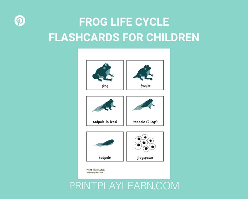 Frog Life Cycle Flashcards for Children Home Education School ...