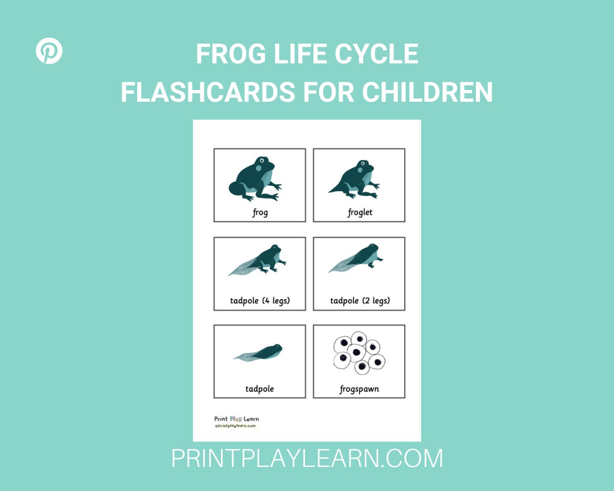 Frog Life Cycle Flashcards for Children Home Education School ...