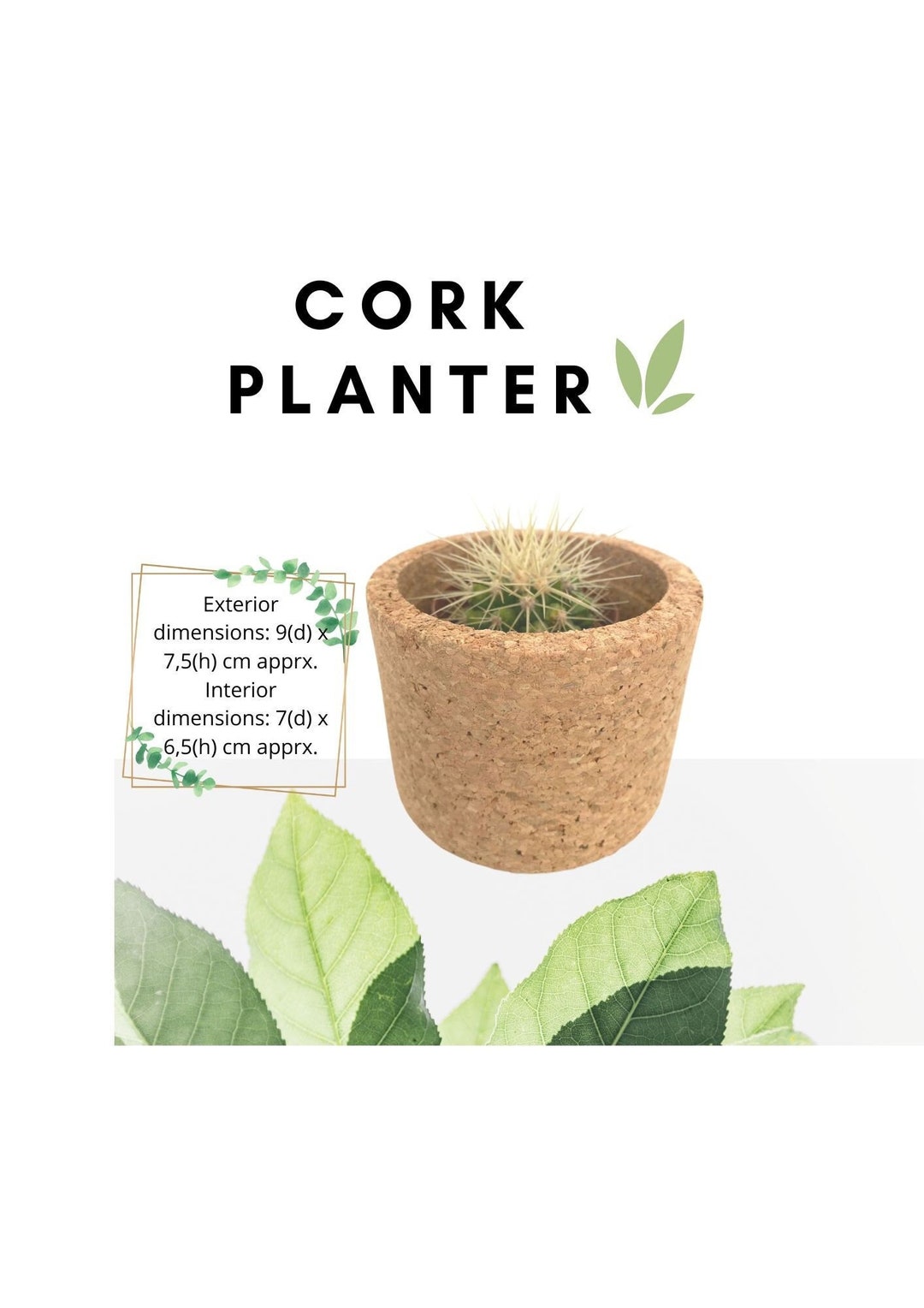 Natural Oak Cork Planter - Unique, Sustainable, and Perfect for Adding ...