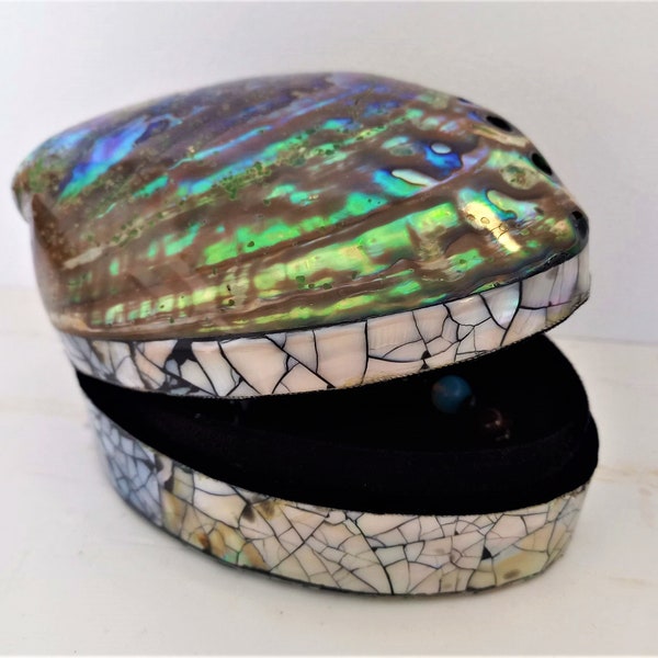 Shell Box - Etsy