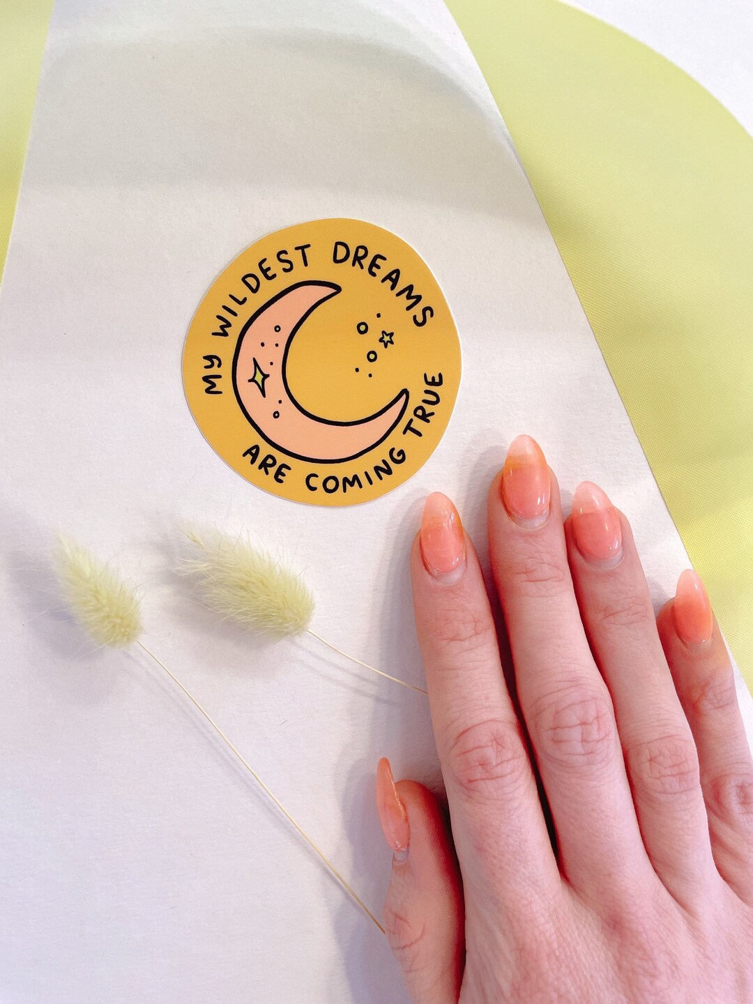 My Wildest Dreams Are Coming True Vinyl Sticker - 3x3" - Dreams Sticker ...