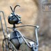 Harley Davidson Chopper Motorcycle Ant Rider Patio and Garden Decor - Etsy