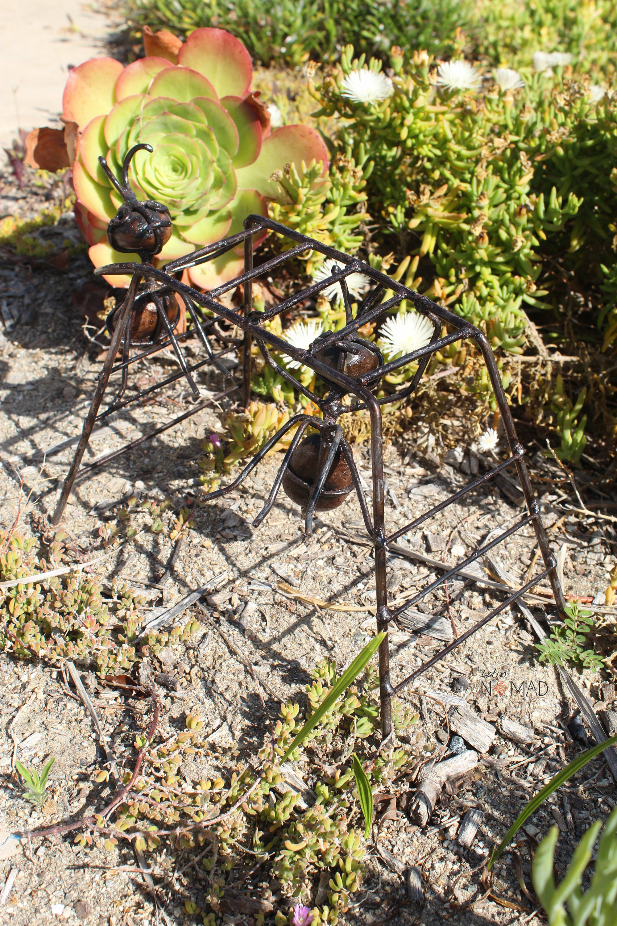 Ladder / Monkey Bars Ants from the Playground Ant Collection, Ant ...