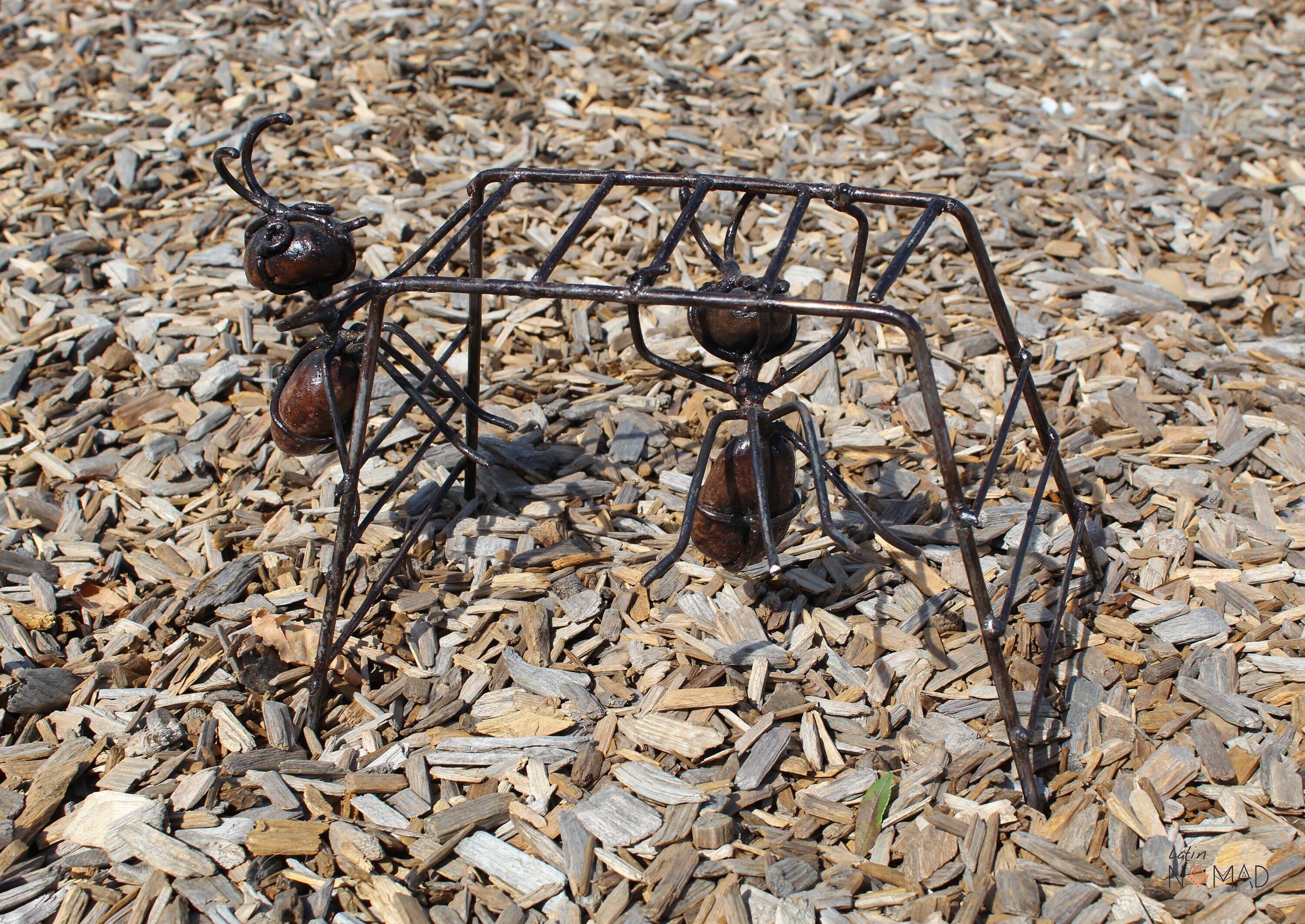 Ladder / Monkey Bars Ants from the Playground Ant Collection, Ant ...
