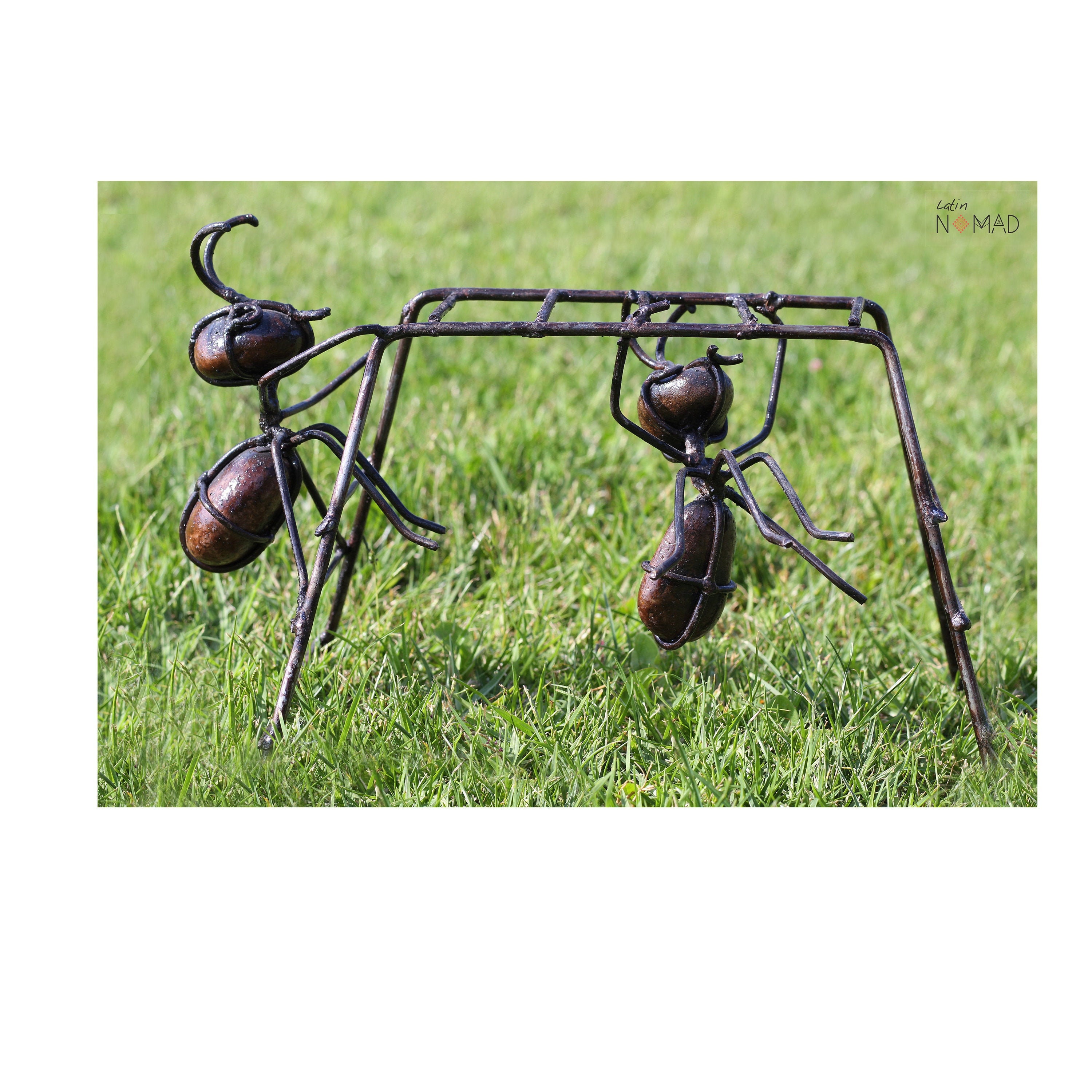 Ladder / Monkey Bars Ants from the Playground Ant Collection, Ant ...