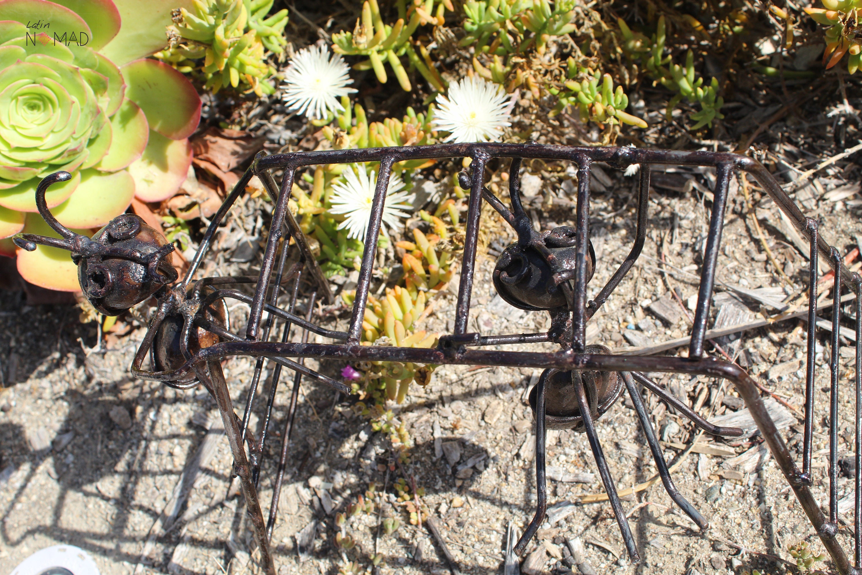 Ladder / Monkey Bars Ants from the Playground Ant Collection, Ant ...