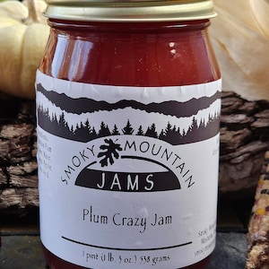 Homestyle Plum Crazy Jam - Etsy