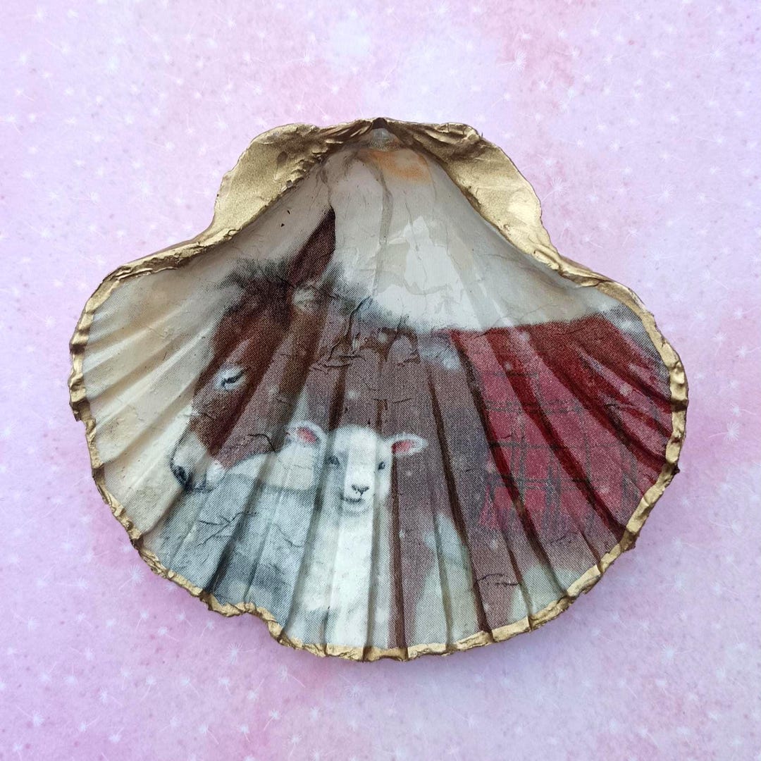 Decorative Scallop Shell Multipurpose Donkey Pocket Emptyer, Soap Dish ...