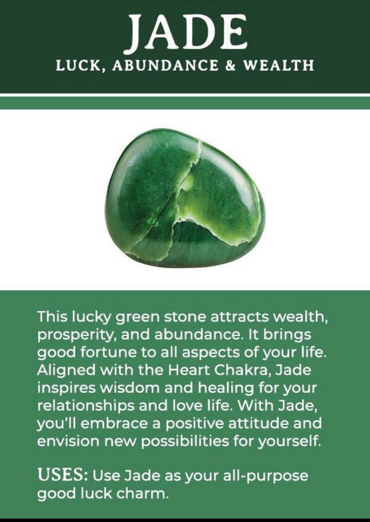 Jade Buddha Ring Buddha Ring Jade Buddha Ring Antiker Jade Ring Antiker Jade Buddha Edelstahlring Etsy