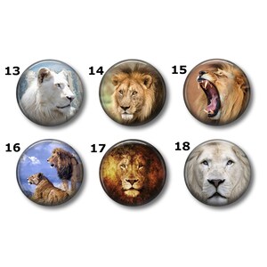 Lion Magnets or Pins Choose Your Own Set of 6, Lion Buttons ...