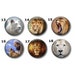 Lion Magnets or Pins Choose Your Own Set of 6, Lion Buttons ...