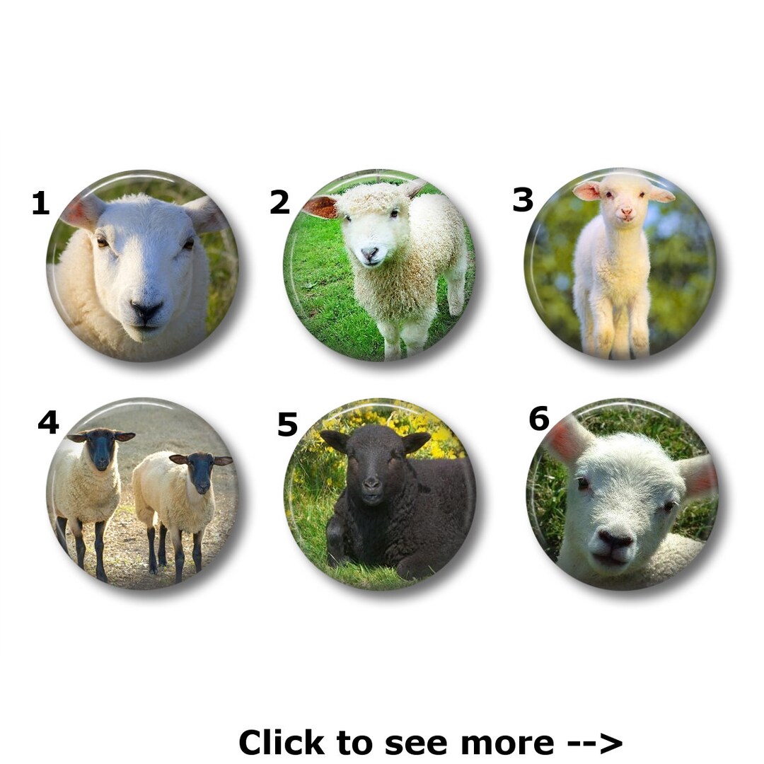 Sheep Magnets or Pins Choose Your Own Set of 6, Sheep Buttons ...