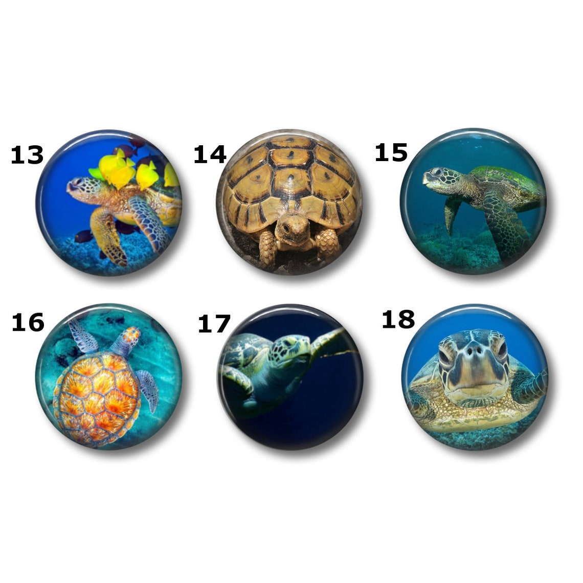 Turtle magnets or pins Choose your own set of 6 Turtle | Etsy