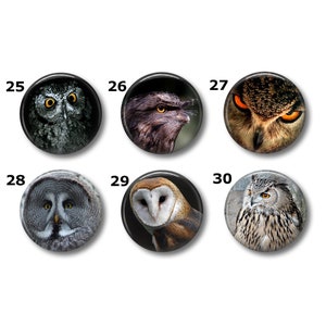 Owl Magnets or Pins, Choose Your Own Set of 6, Owl Buttons ...