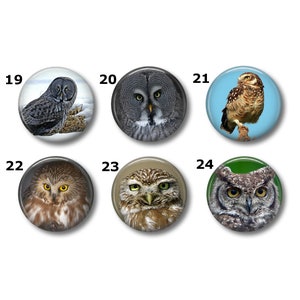 Owl Magnets or Pins, Choose Your Own Set of 6, Owl Buttons ...