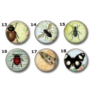 Insect Magnets or Pins Choose Your Own Set of 6, Insect Buttons ...