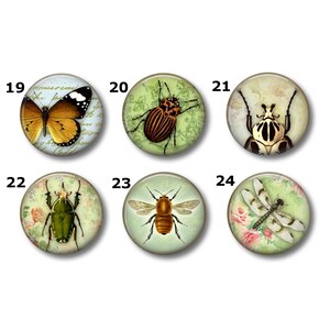Insect Magnets or Pins Choose Your Own Set of 6, Insect Buttons ...