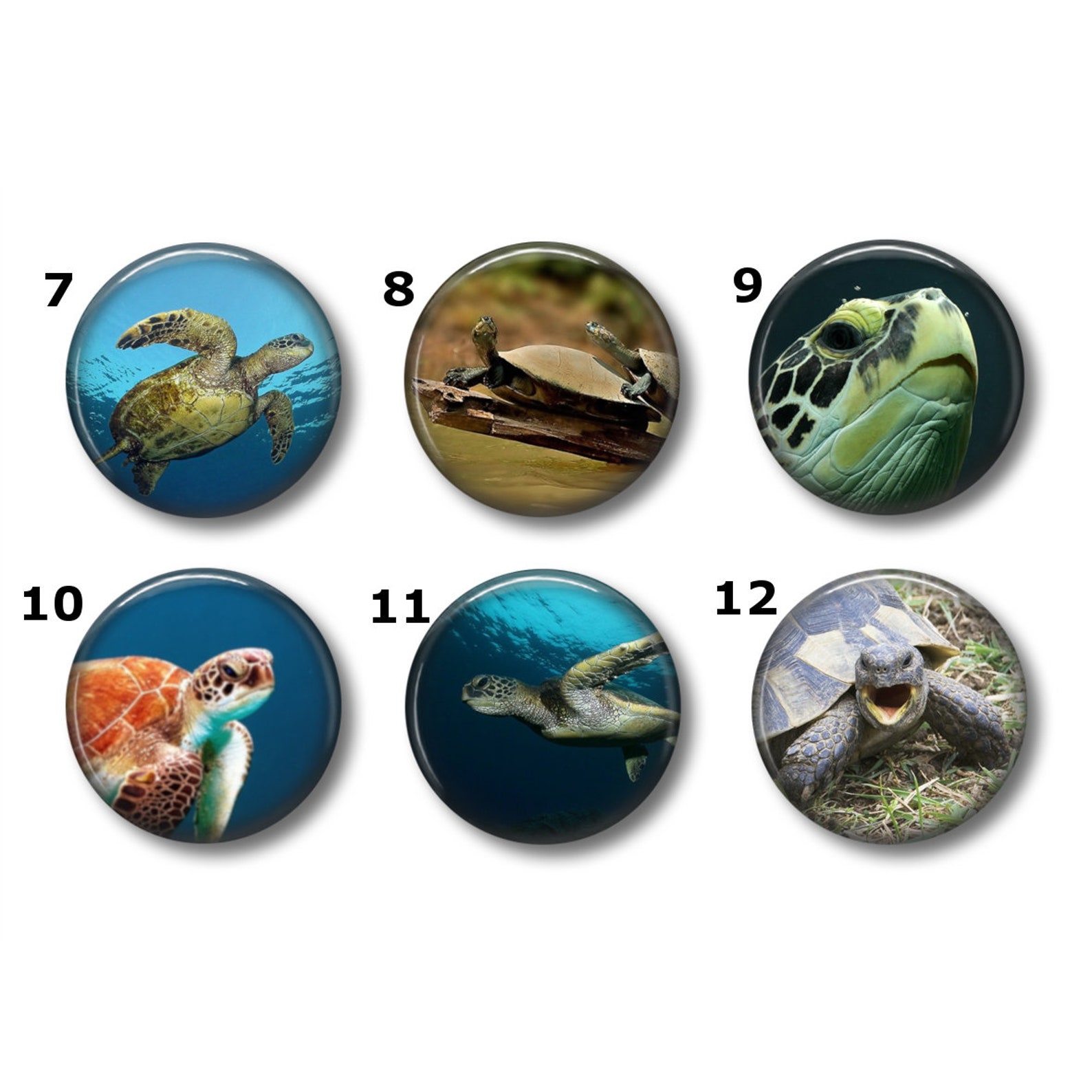 Turtle magnets or pins Choose your own set of 6 Turtle | Etsy
