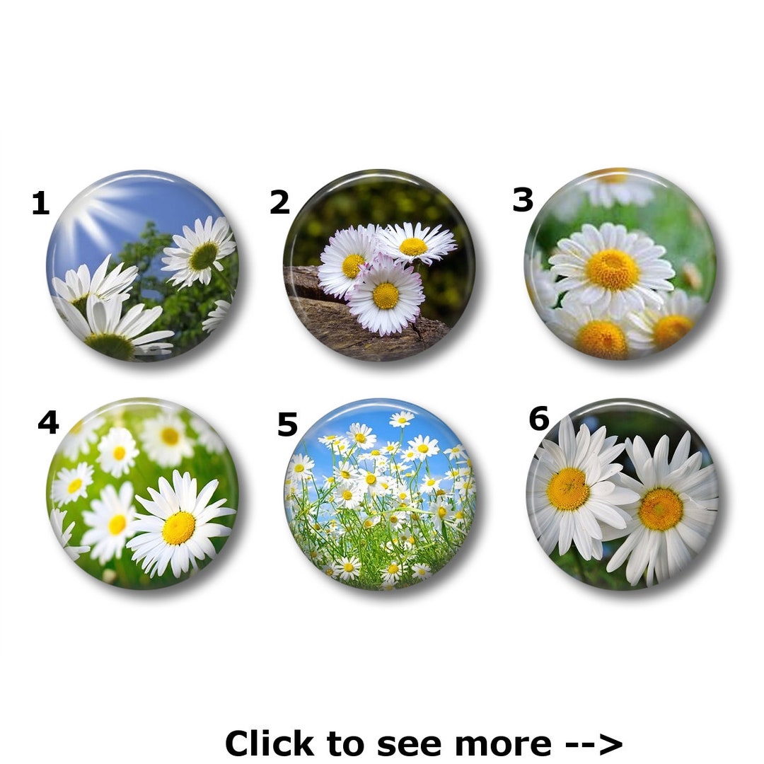 Daisy Magnets or Pins Choose Your Own Set of 6, Daisy Buttons ...