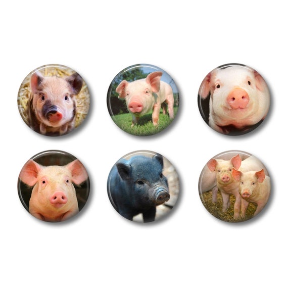 Kitchen & Dining Kitchen Décor Refrigerator Magnets piglets pig buttons ...