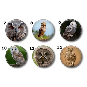 Owl Magnets or Pins, Choose Your Own Set of 6, Owl Buttons ...