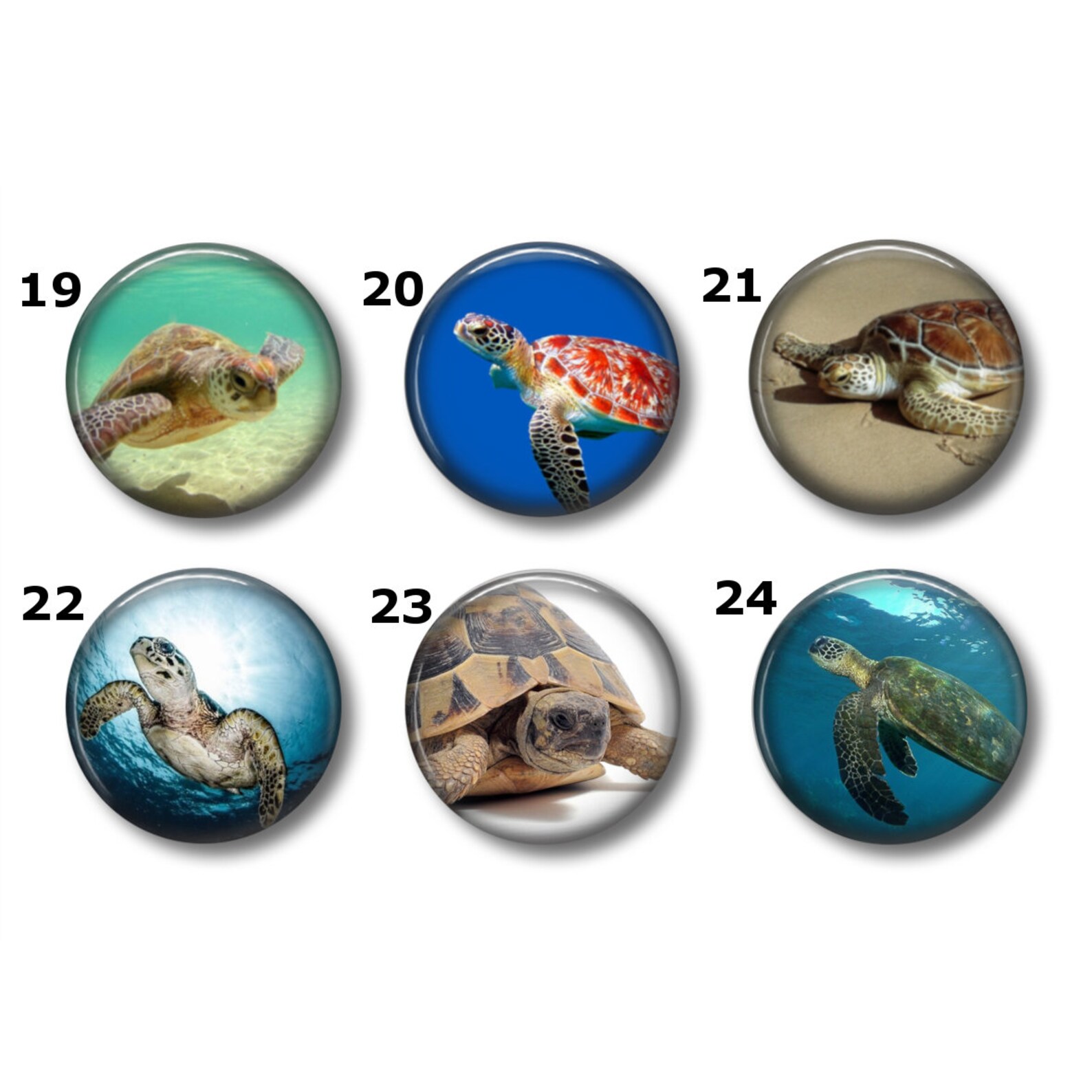Turtle magnets or pins Choose your own set of 6 Turtle | Etsy