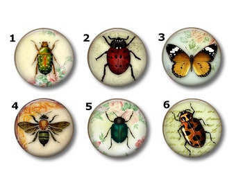 Vintage Carnival Midway Magnets or Pins Choose Your Own Set of 6 ...