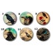 Raven Magnets or Pins Choose Your Own Set of 6, Raven Buttons ...