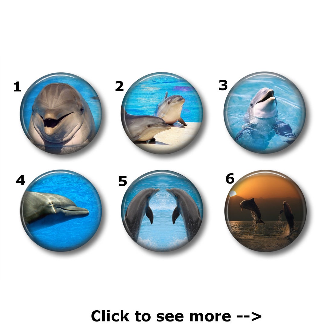 Dolphin Magnets or Pins Choose Your Own Set of 6, Dolphin Buttons ...