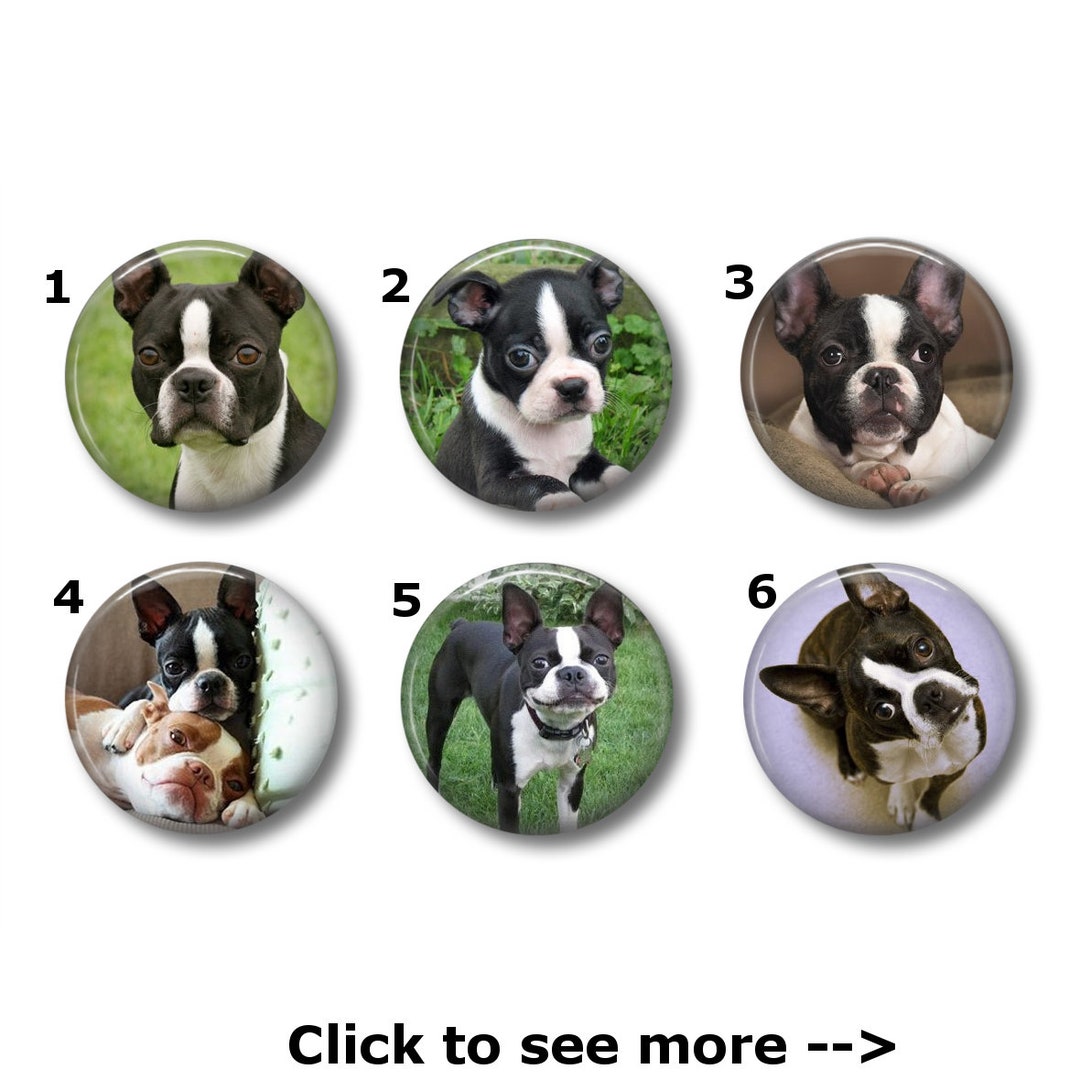 Boston Terrier Magnets, Pins, or Flatbacks Choose Your Own Set of 6 ...