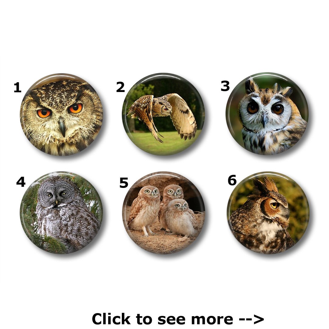 Owl Magnets or Pins, Choose Your Own Set of 6, Owl Buttons ...